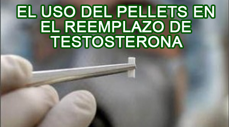 pellets-testosteronareal - Medicina Antienvejecimiento, Articulos ...